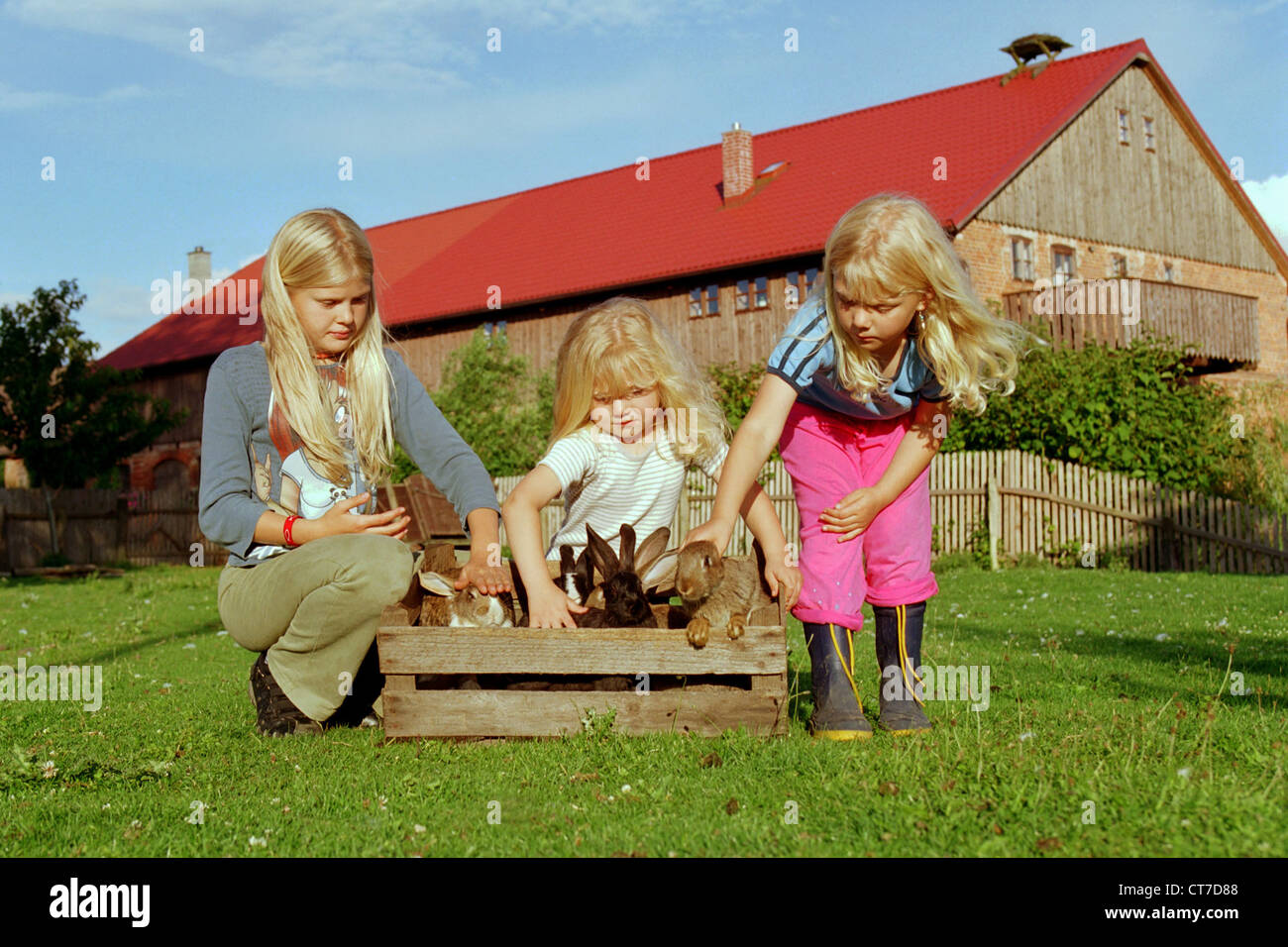 Children farm hi-res stock photography and images - Alamy