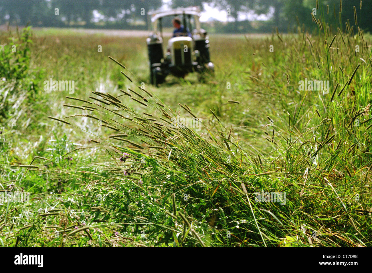 A tractor mows a green meadow Stock Photo - Alamy