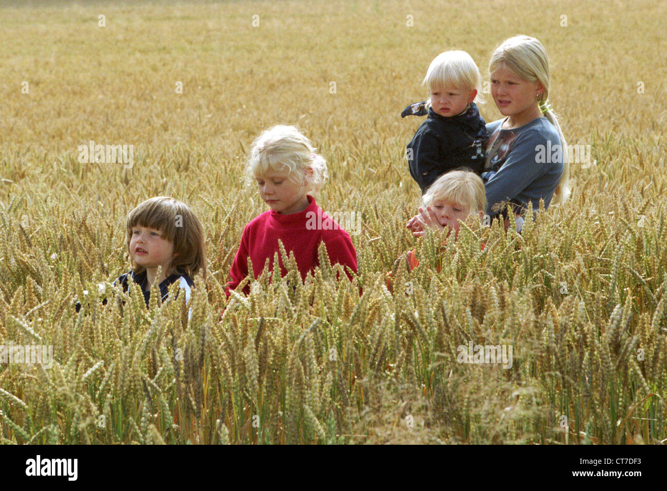 Children of the corn hi-res stock photography and images - Alamy