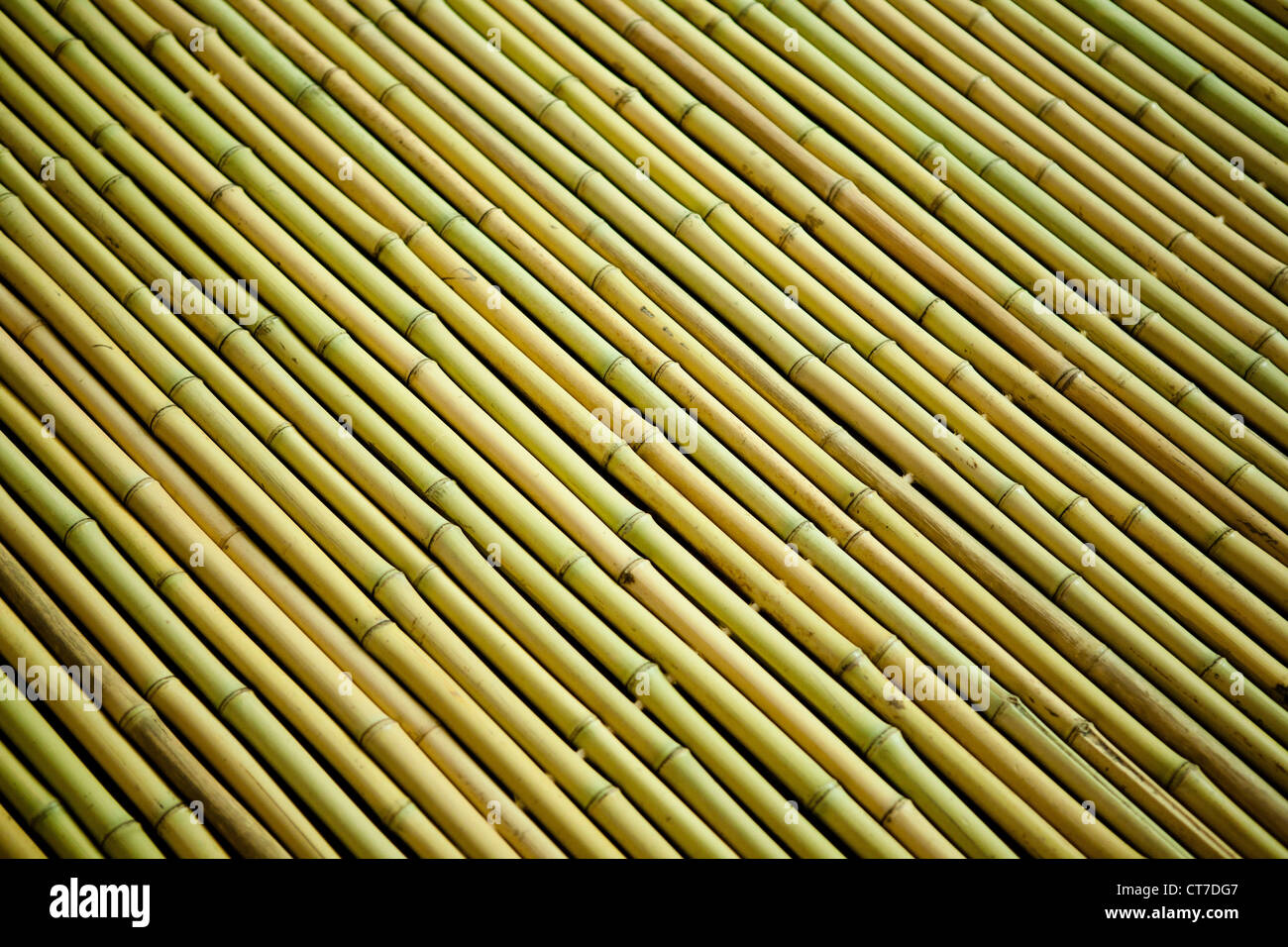 Rows of bamboo wood Stock Photo - Alamy