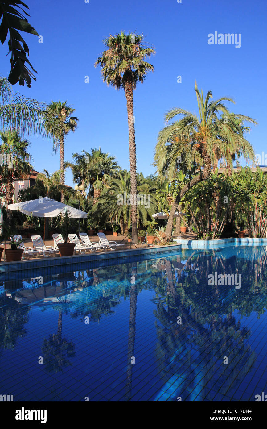 Beautiful swimming pool with palm trees hi-res stock photography and ...