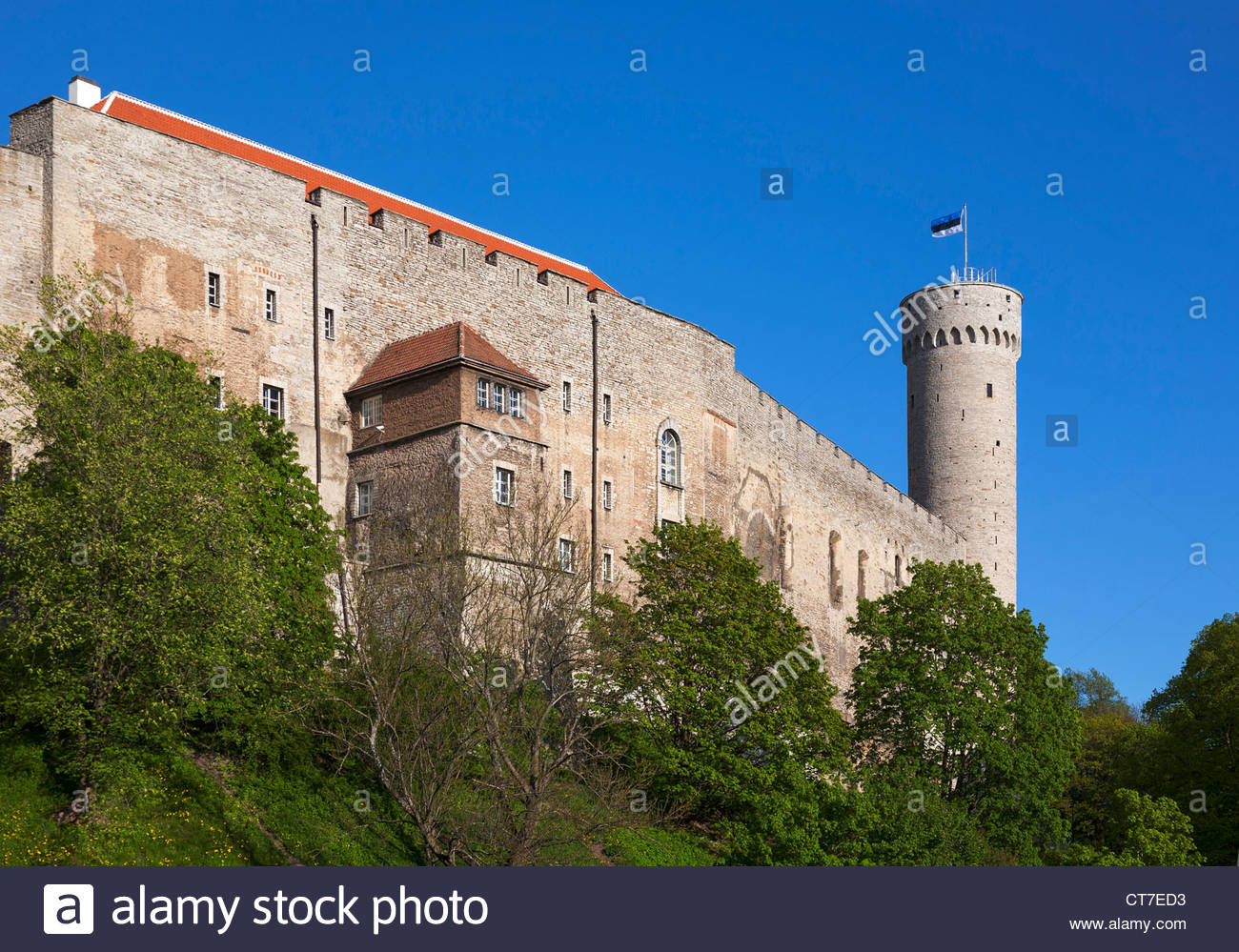 Toompea Castle High Resolution Stock Photography and Images - Alamy