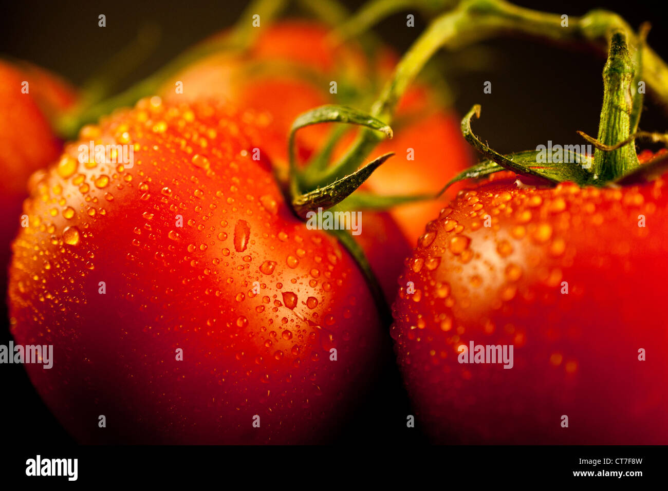 Washed tomato hi-res stock photography and images - Alamy