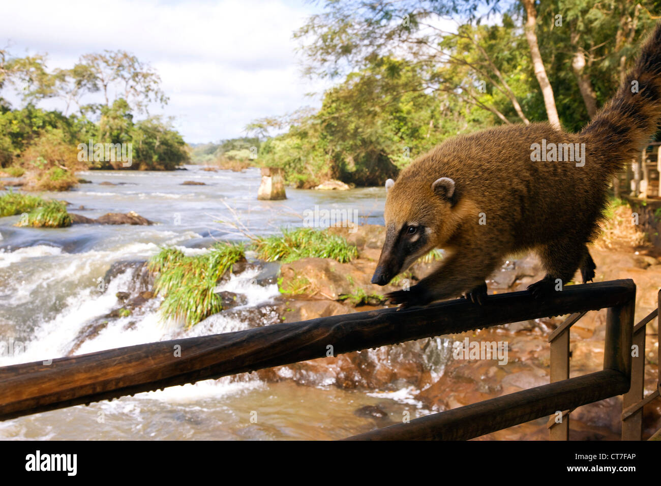 Circuito superior hi-res stock photography and images - Alamy