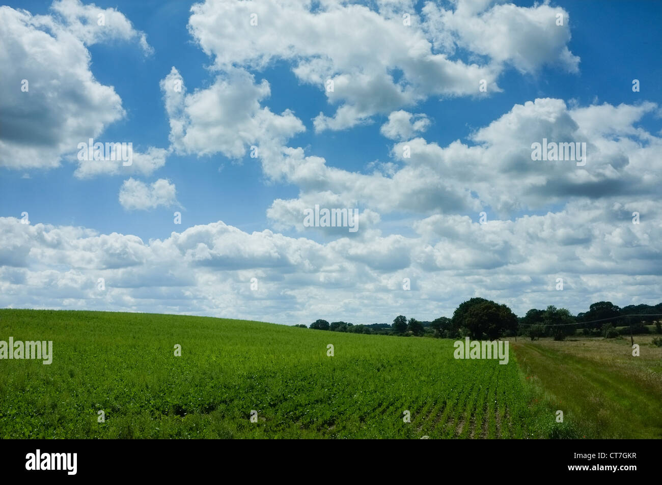 Bright blue sky looking away from Norwich, Norfolk UK Stock Photo - Alamy