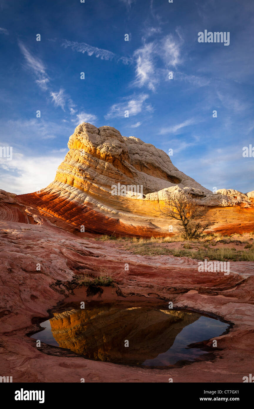 Giant monolith of sandstone in a remote desert area at sunset Stock ...