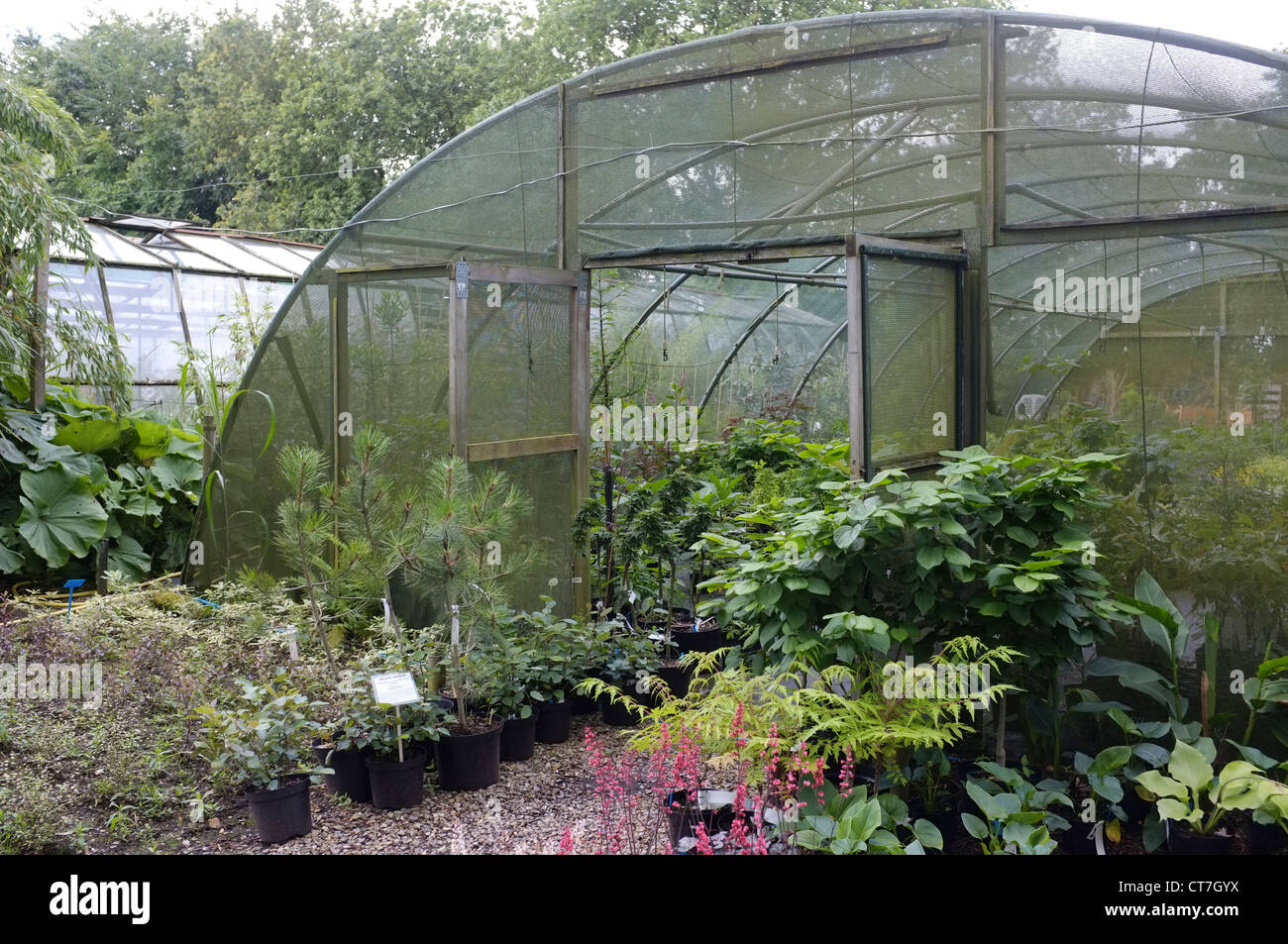 Plant nursery with shade protection to protect from the sunlight ...