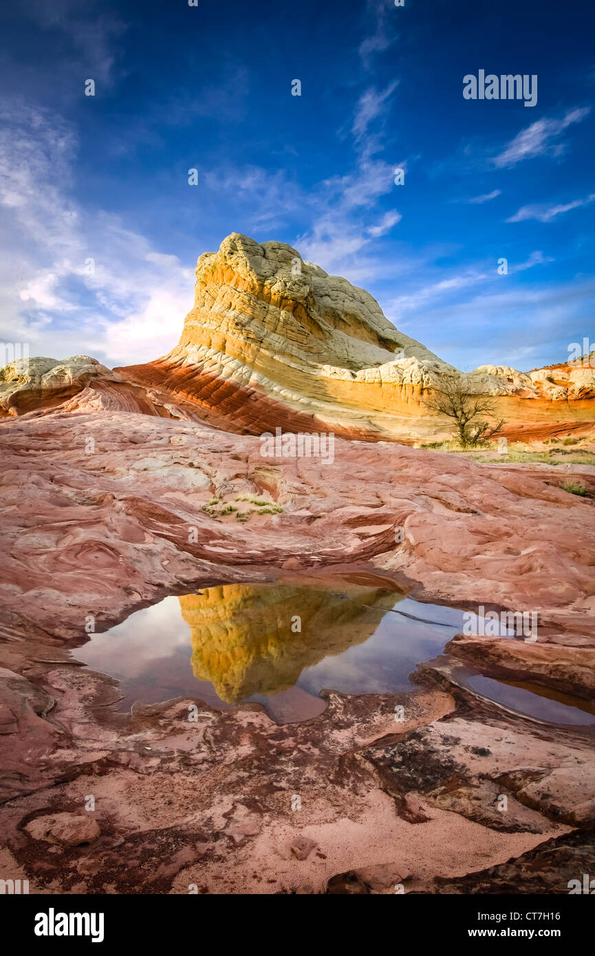 Giant monolith of sandstone in a remote desert area at sunset Stock ...