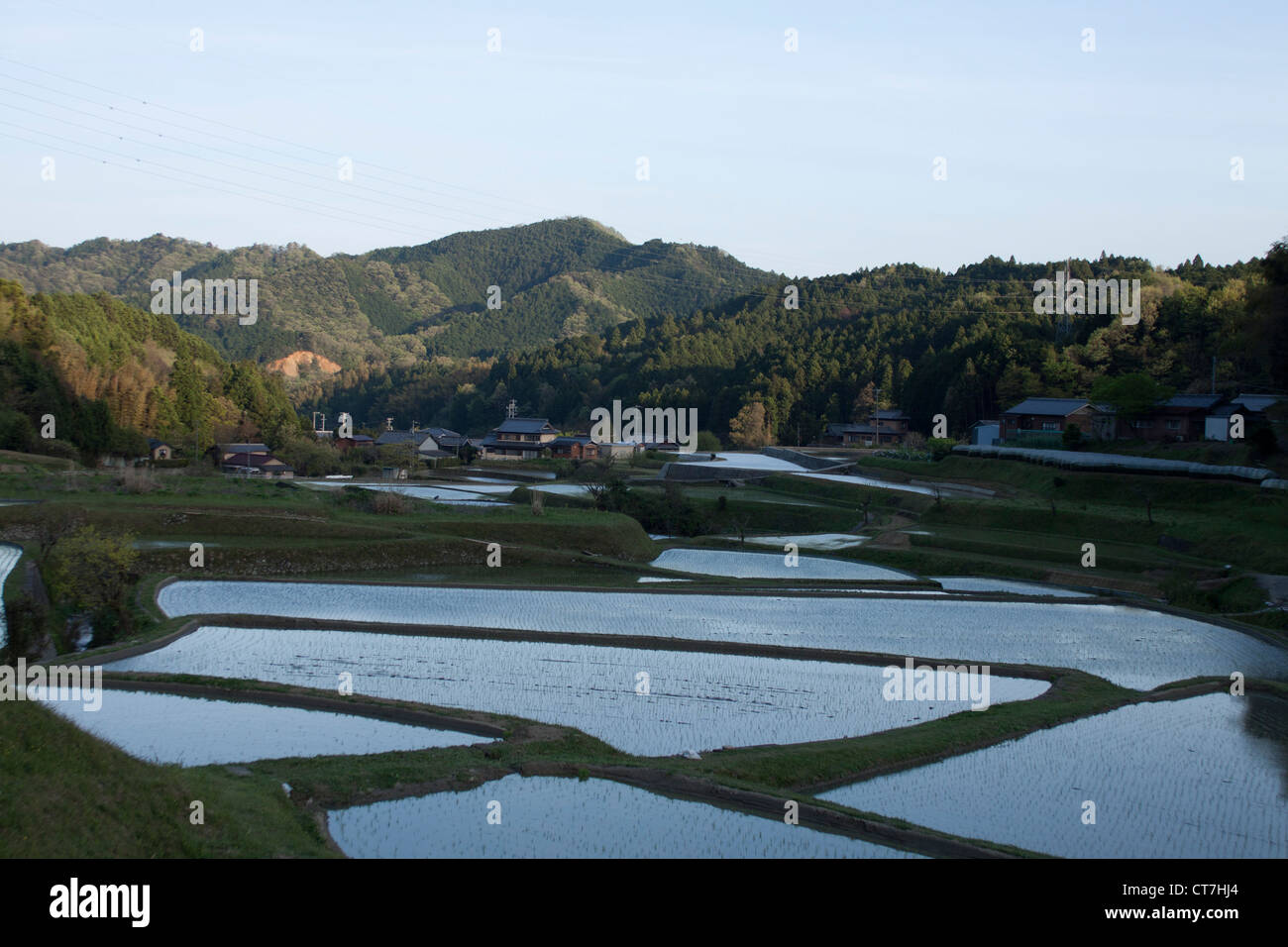 Japanese rice paddy's with mountains in the background in rural Japan ...
