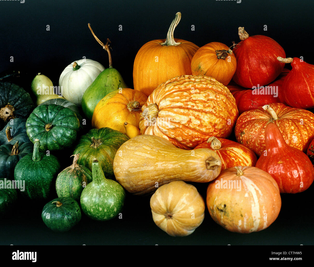 Still life with pumpkins Stock Photo - Alamy