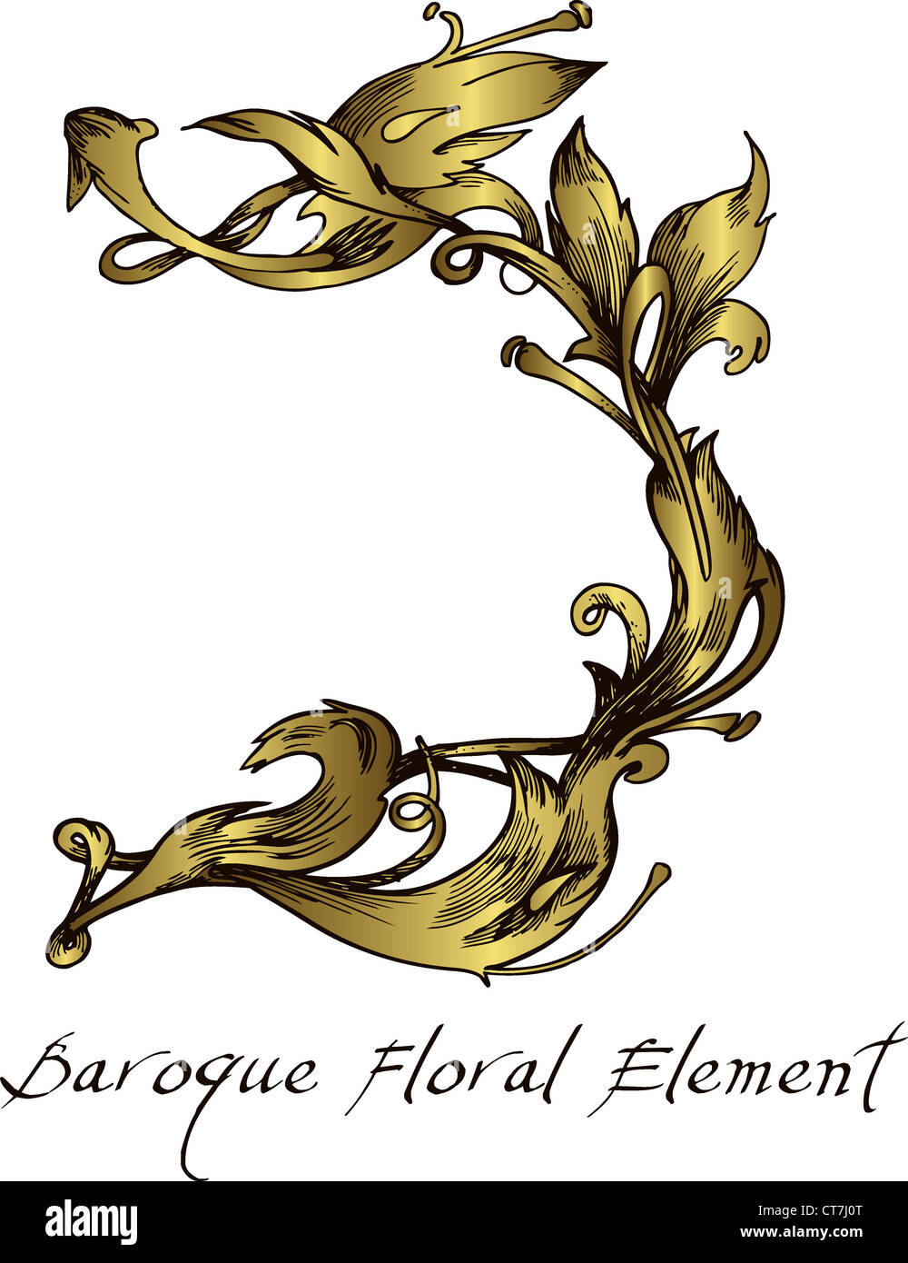 hand drawn floral element Stock Photo - Alamy
