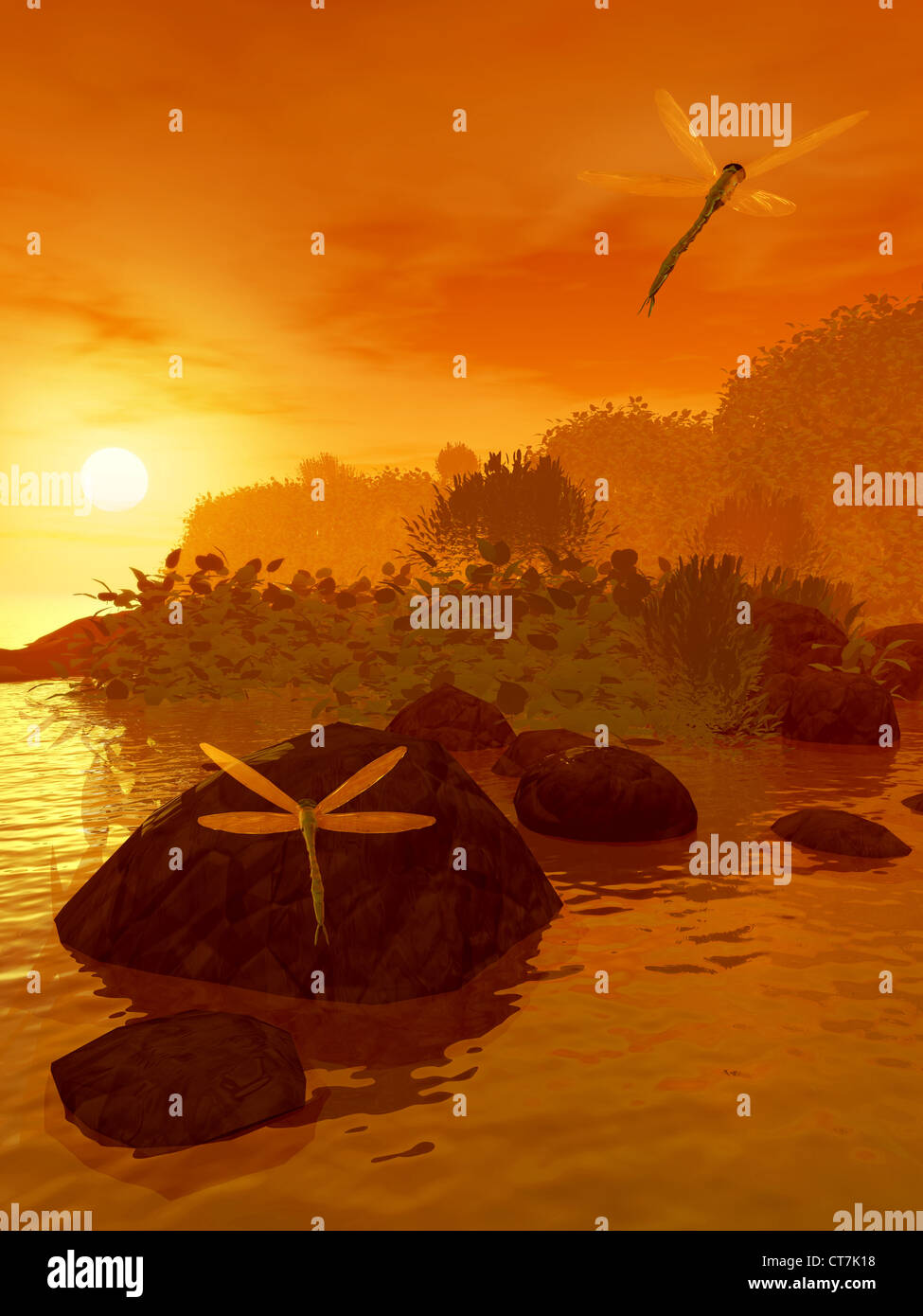 Two flying dragonflies hi-res stock photography and images - Alamy