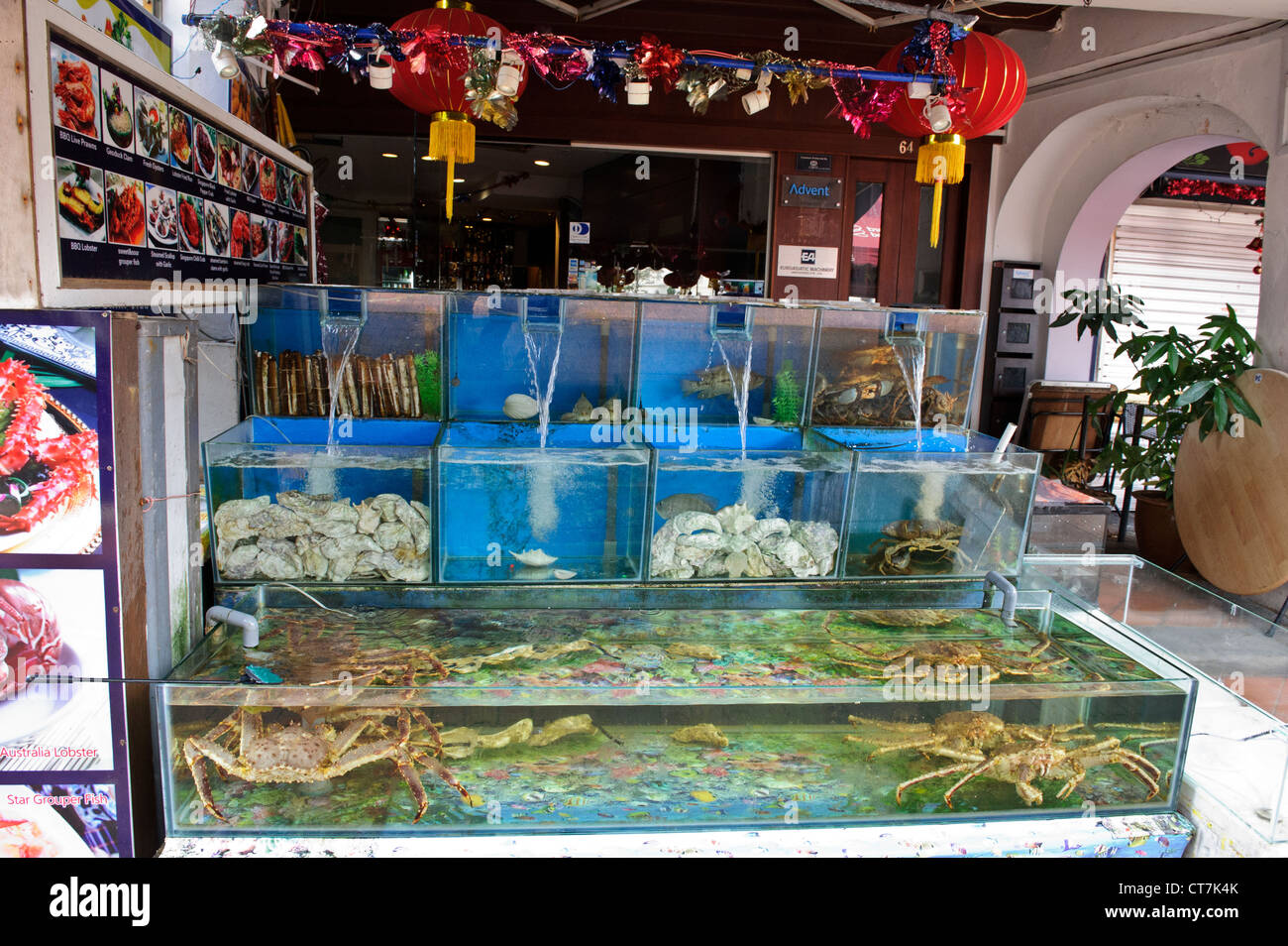 Live seafood hi-res stock photography and images - Alamy