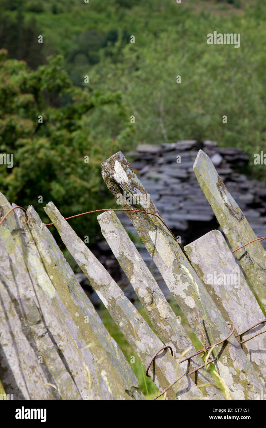 Traditional slate fence near Aberllefenni in mid Wales Stock Photo - Alamy