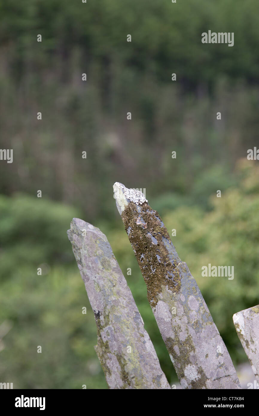 Traditional slate fence near Aberllefenni in mid Wales Stock Photo - Alamy