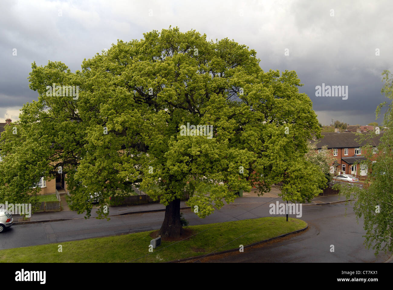 Suburbia in london hi-res stock photography and images - Alamy