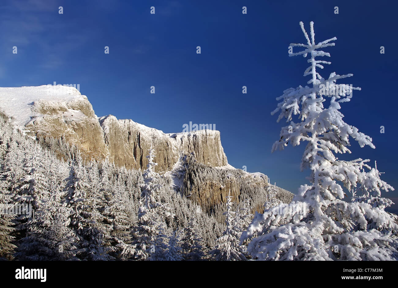 Winter Mountain Scenes