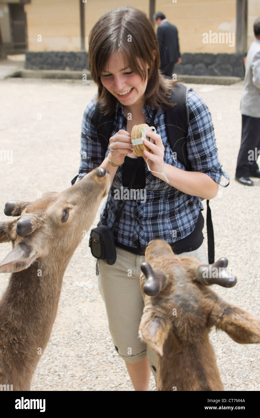 Japanese woman feeding deer in hi-res stock photography and images - Alamy