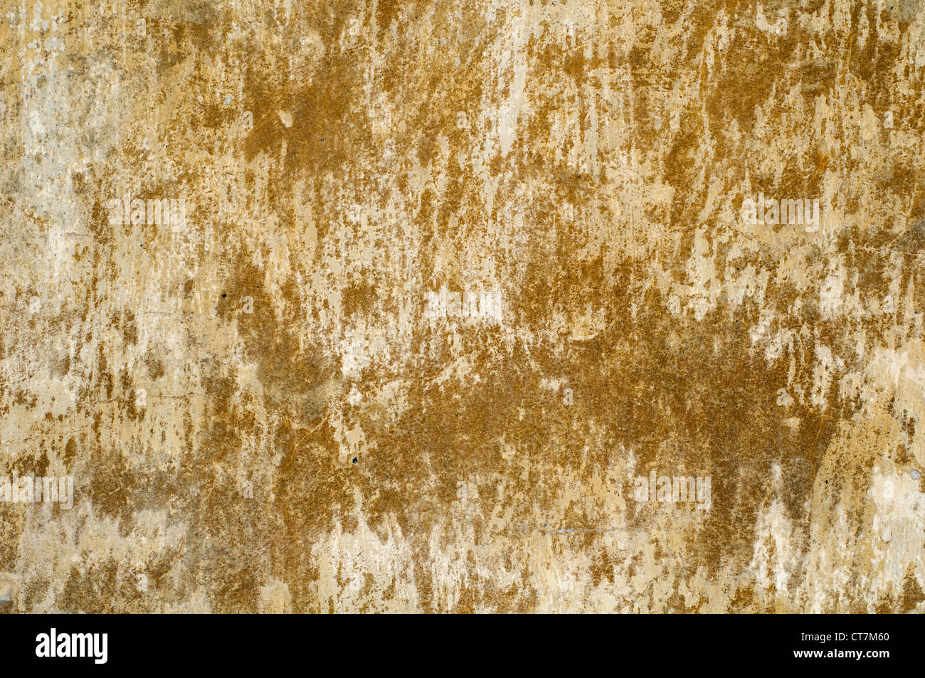Concrete wall texture close up. High resolution Stock Photo - Alamy