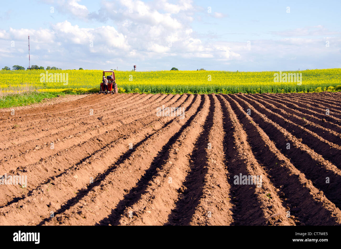 Earth tillage hi-res stock photography and images - Alamy