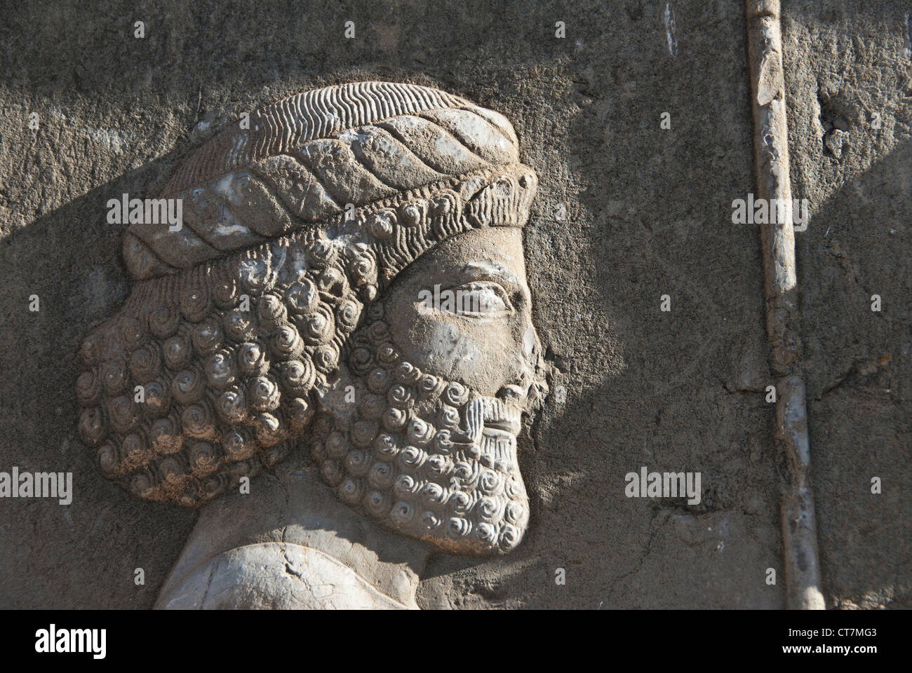 Persian Soldier, Persepolis, Shiraz Iran Stock Photo - Alamy