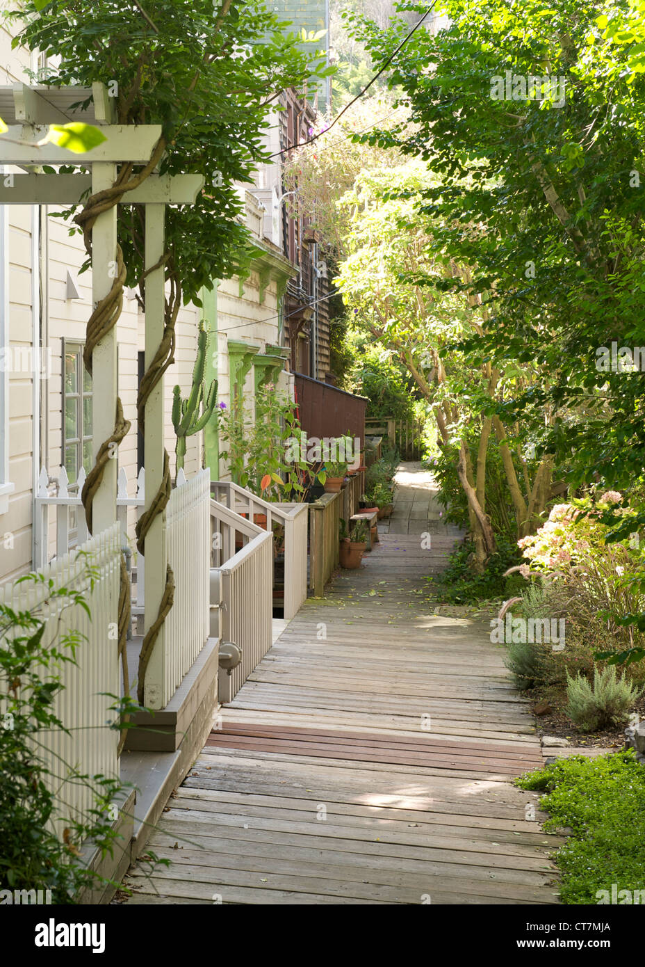 Napier lane san francisco historic walkway hi-res stock photography and ...