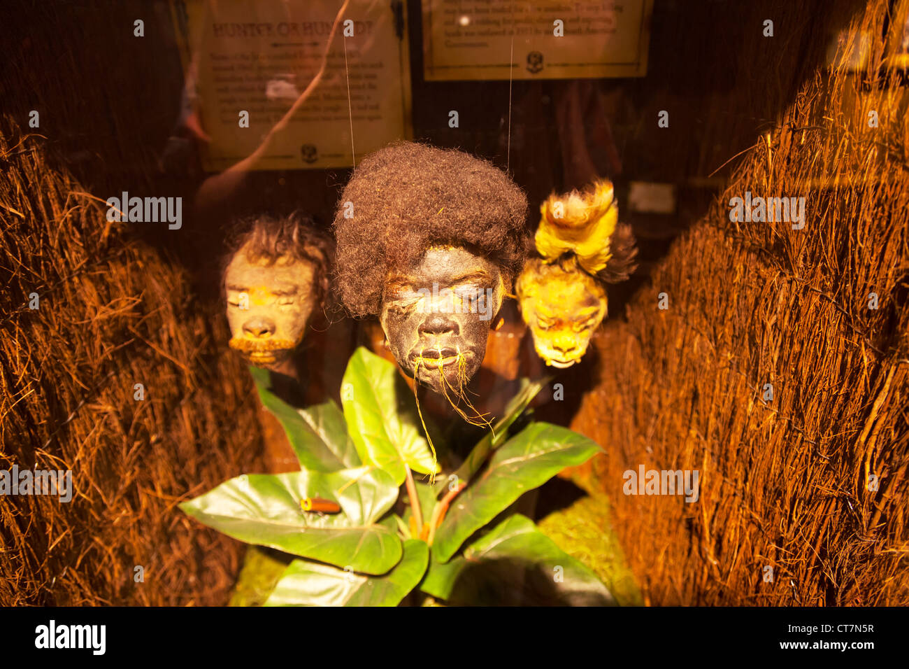 Ripleys believe not museum on hi-res stock photography and images - Alamy