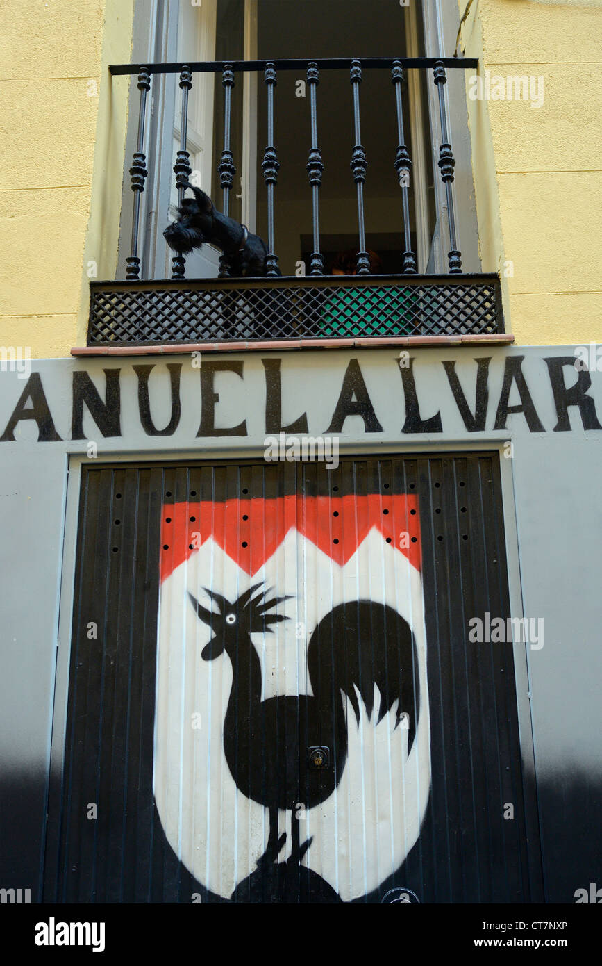 madrid dog balcony Stock Photo - Alamy