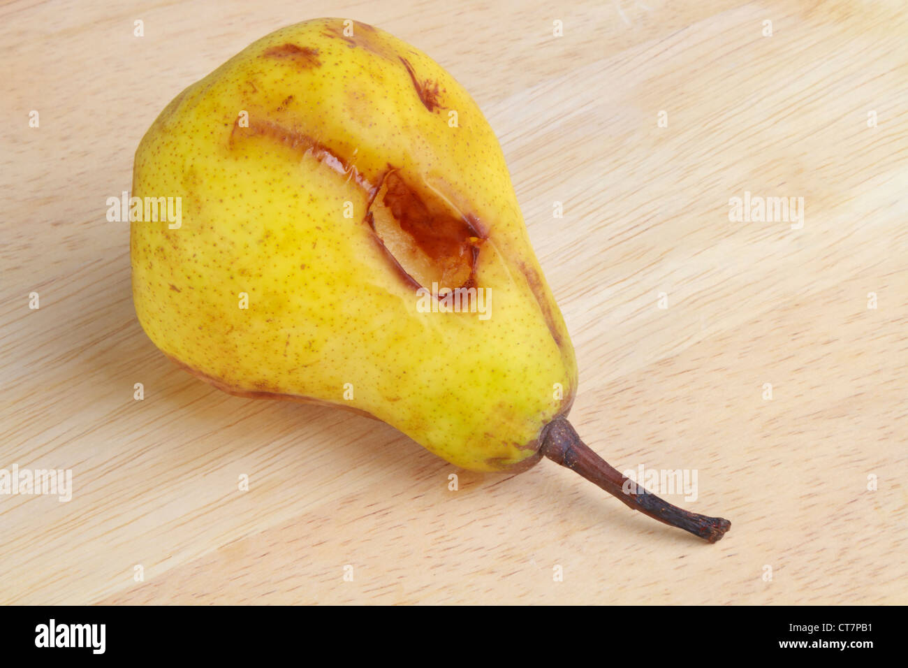 Pear fruit eaten by insect Stock Photo - Alamy