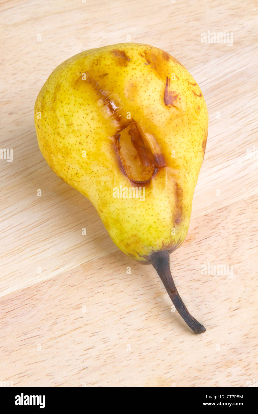 Pears eaten by insects hi-res stock photography and images - Alamy