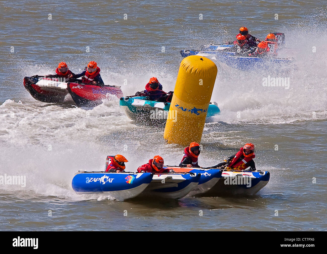 Zapcat High Resolution Stock Photography and Images - Alamy