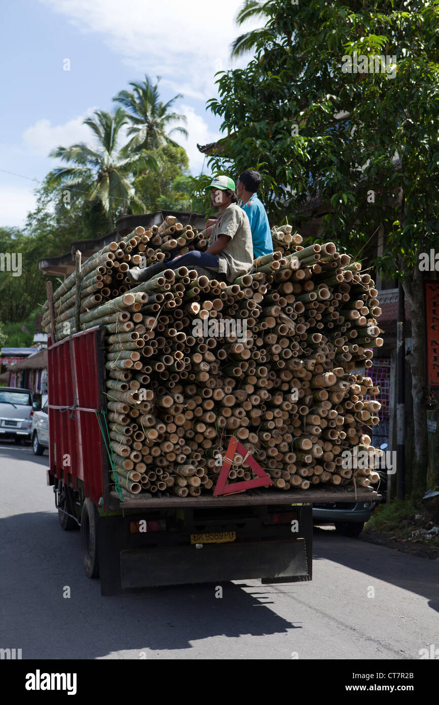 Two men ride atop a lorry carrying lengths of Bamboo in Bali, Indonesia ...