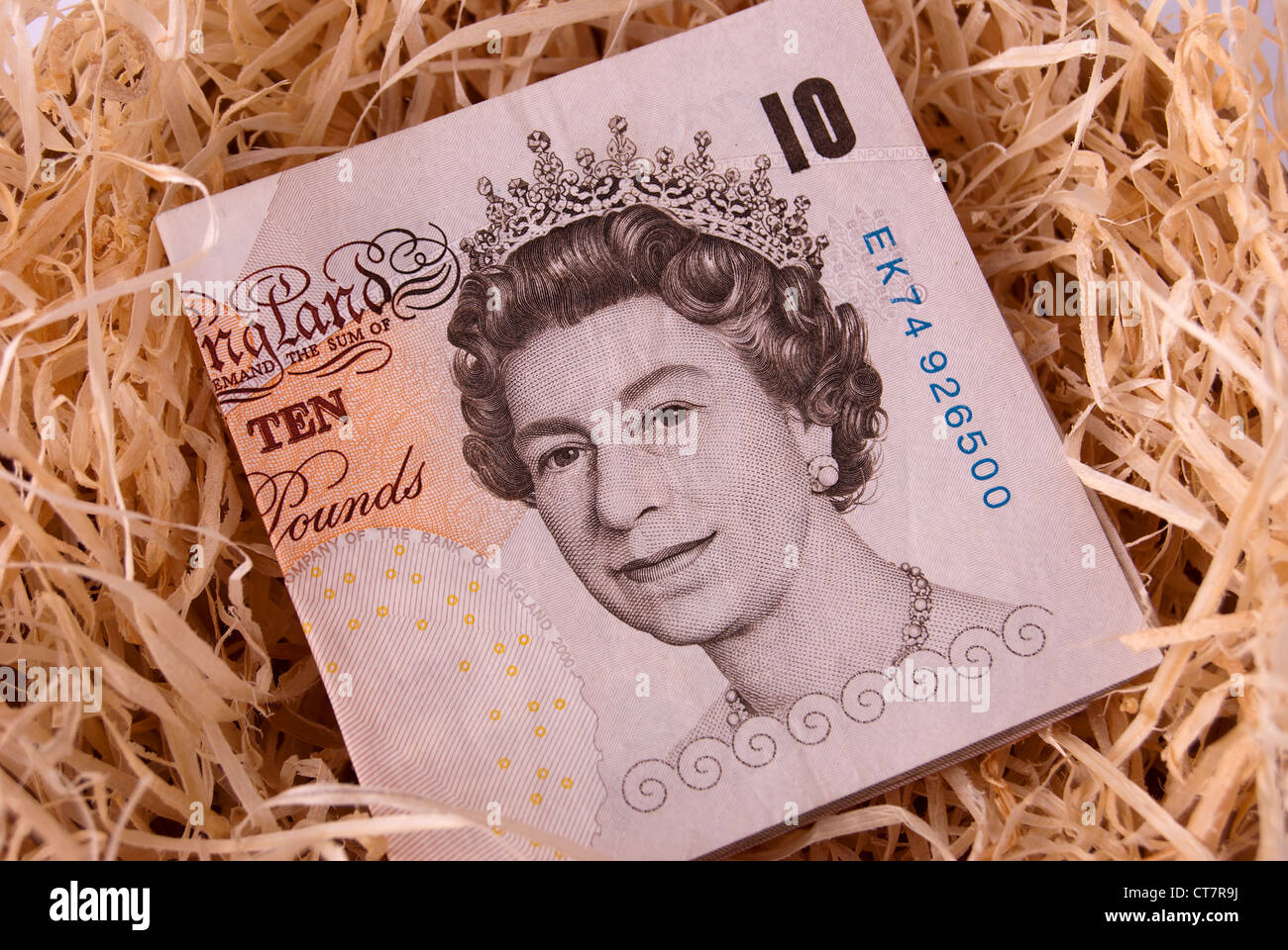 Ten Pound Note in a Nest Stock Photo - Alamy
