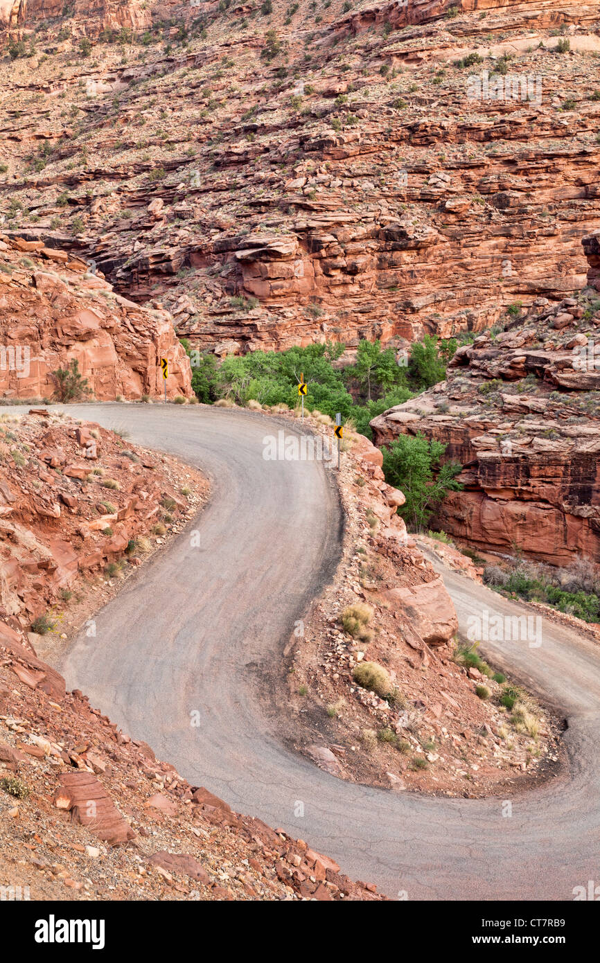 steep switchback road to canyon bottom near Moab, Utah Stock Photo - Alamy
