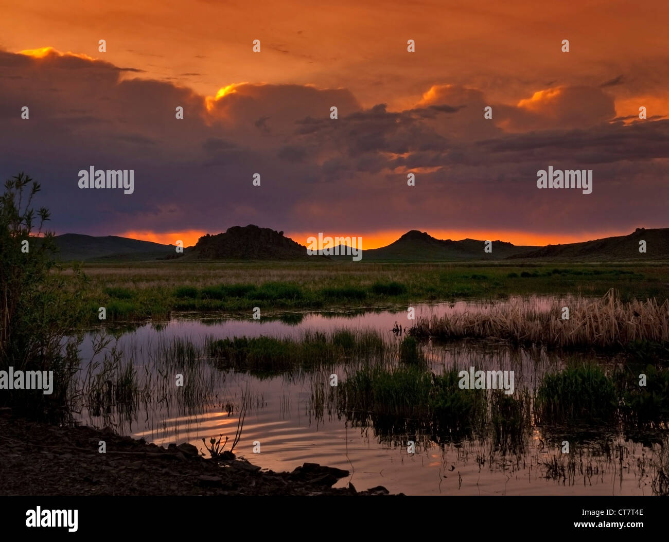 Wildlife refuge dramatic sunrise morning Stock Photo - Alamy