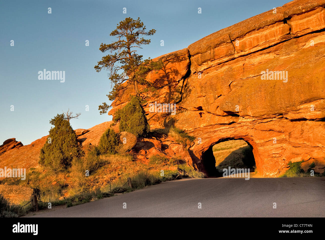 Road through bushes hi-res stock photography and images - Alamy