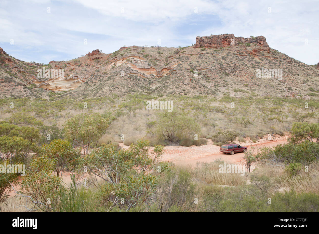 Ford Falcon ED wagon in Shothole Canyon Road, Cape Range National Park ...