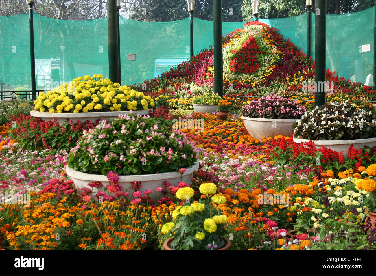 Beautiful colourful floral display hi-res stock photography and images ...