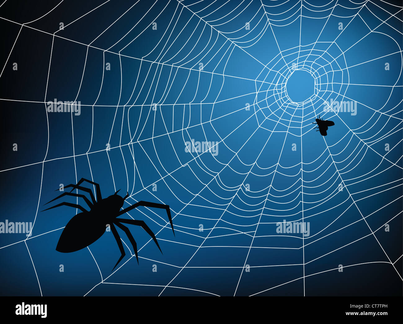 spider web illustration, for background Stock Photo - Alamy