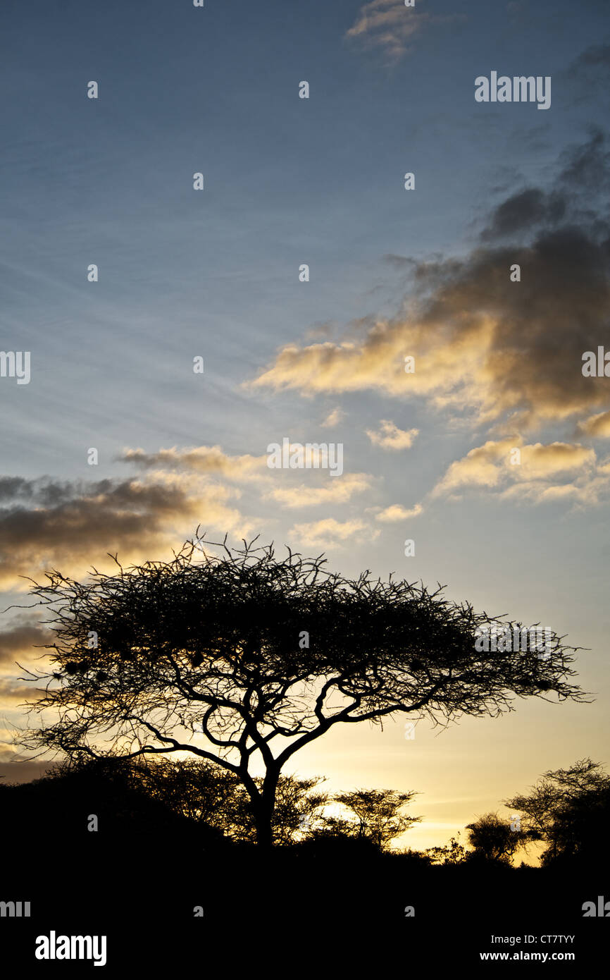 Sunset in Kenya, Africa Stock Photo - Alamy