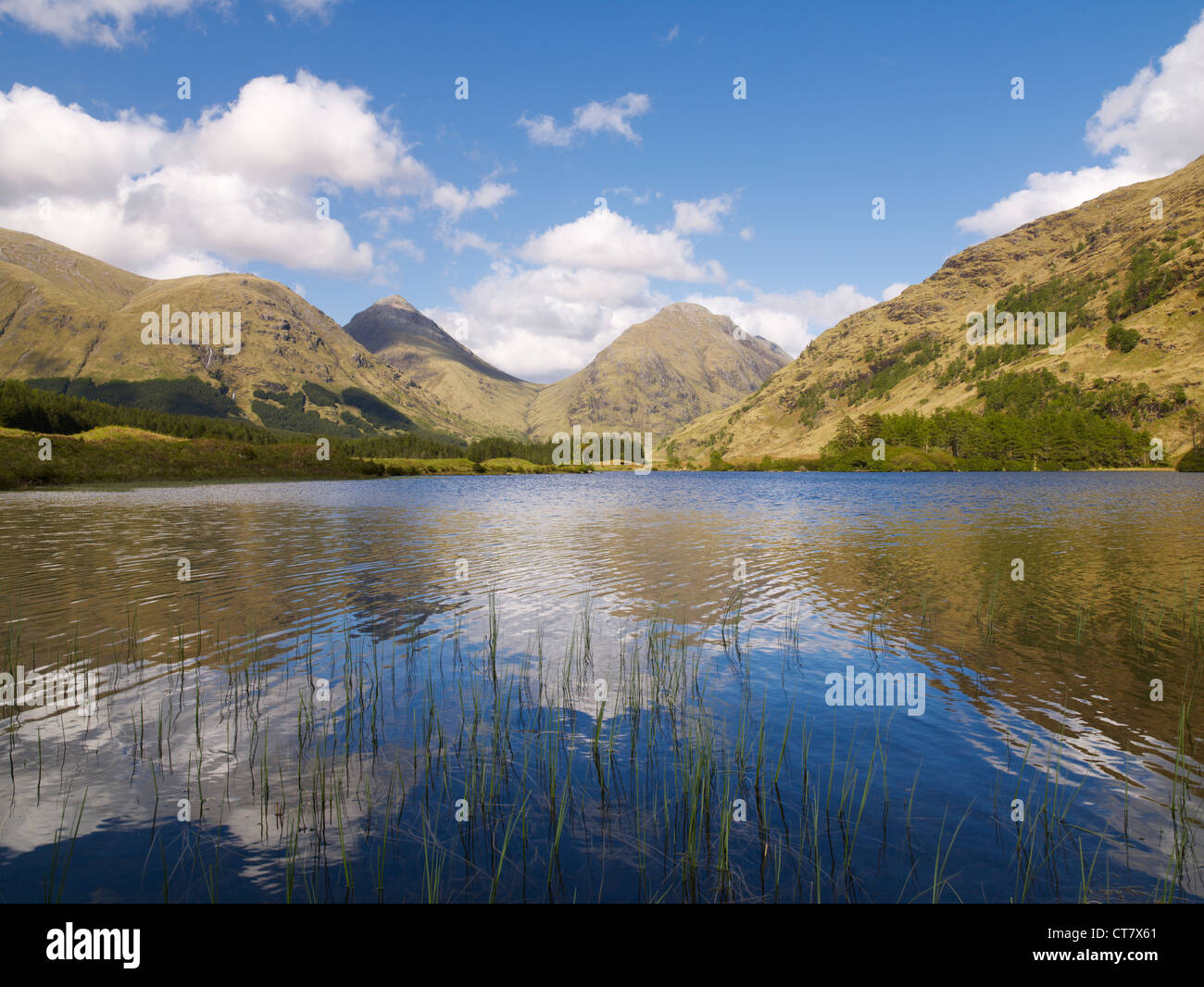 Scotland, Glen Etive, view to Stob Dubh (Buchaille Etive Beag) and Stob ...