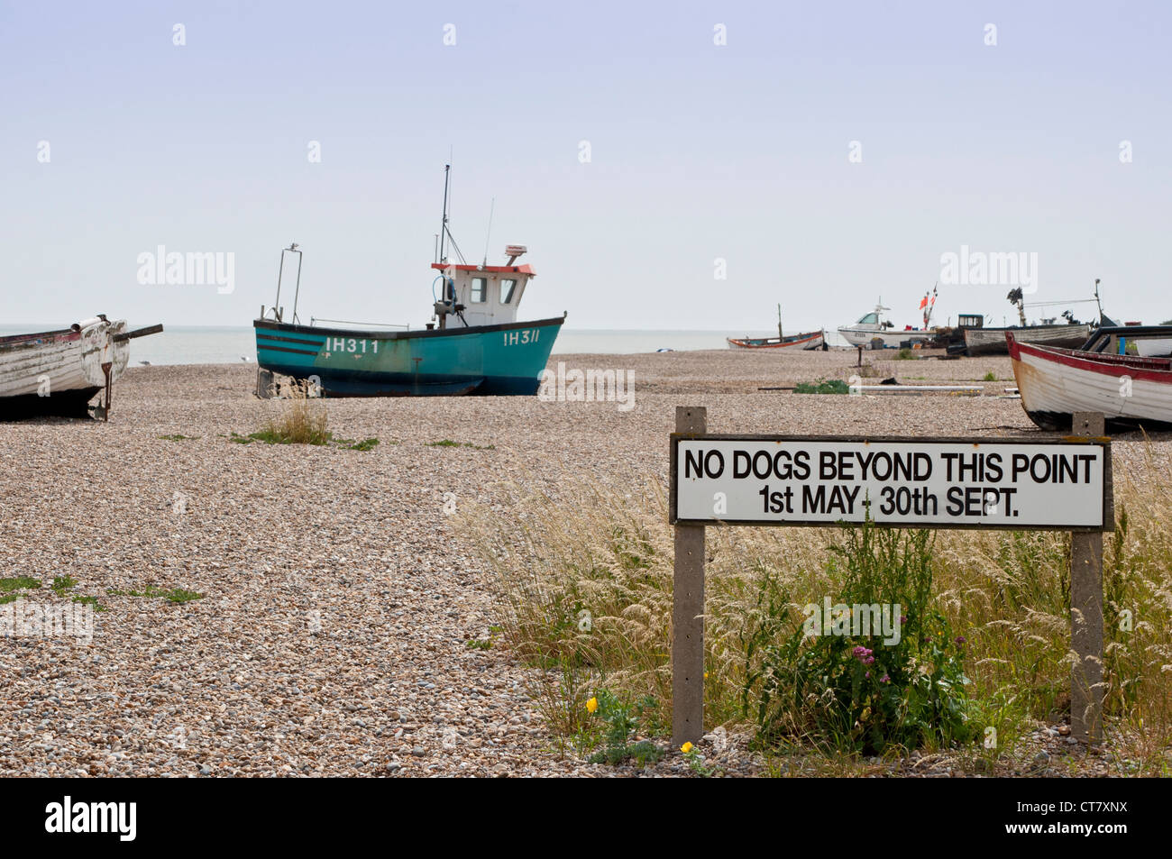 No dogs beach sign hi-res stock photography and images - Alamy
