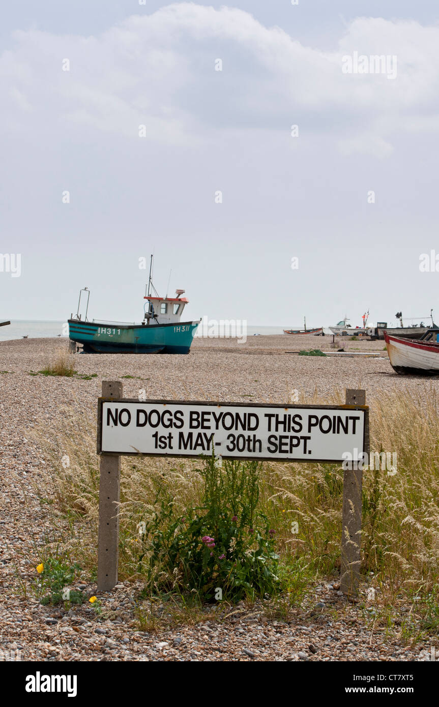 No dogs on beach sign Stock Photo - Alamy