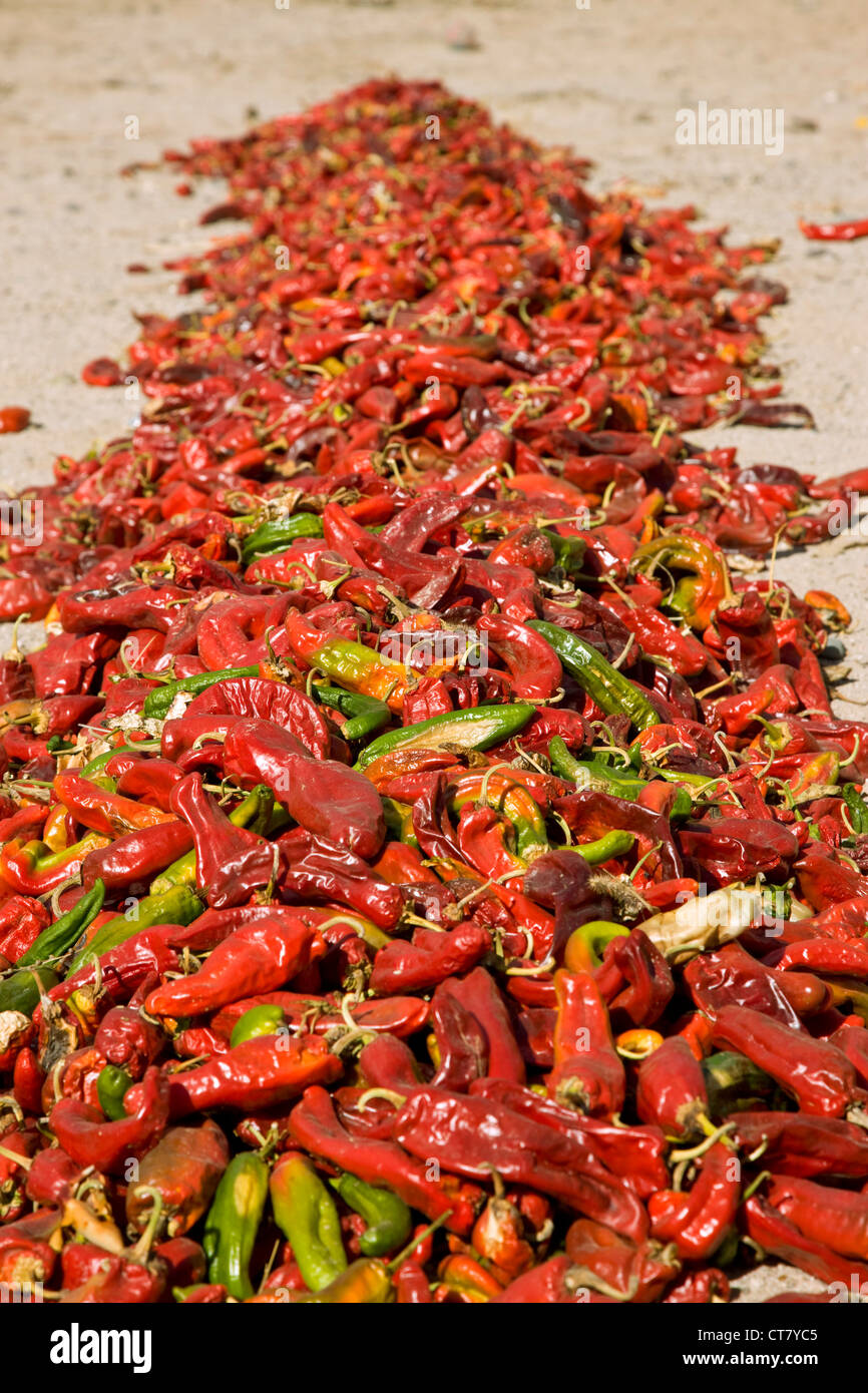Red chillis drying hi-res stock photography and images - Alamy