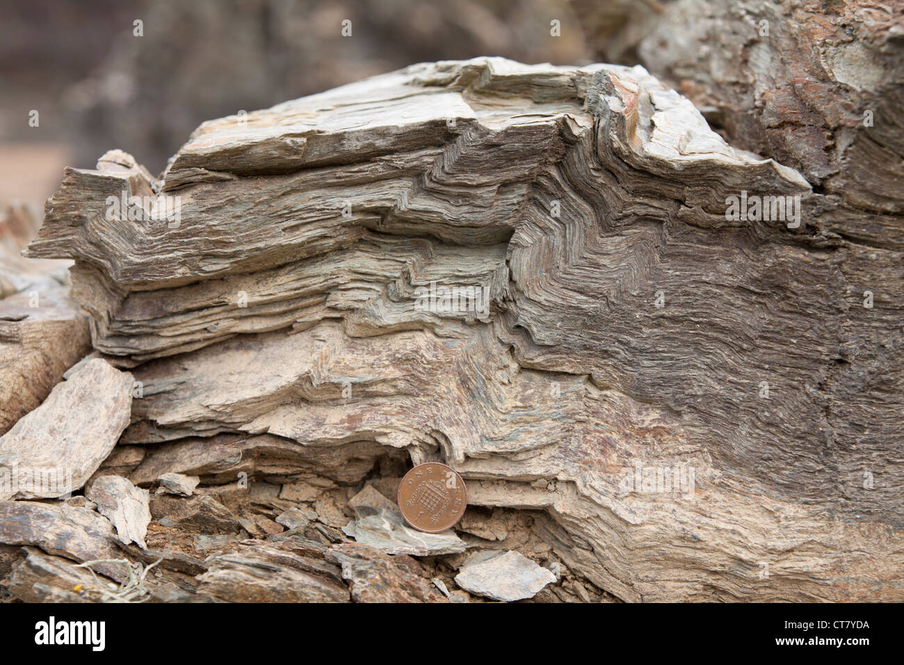 Thrust folded schist outcrop Stock Photo - Alamy