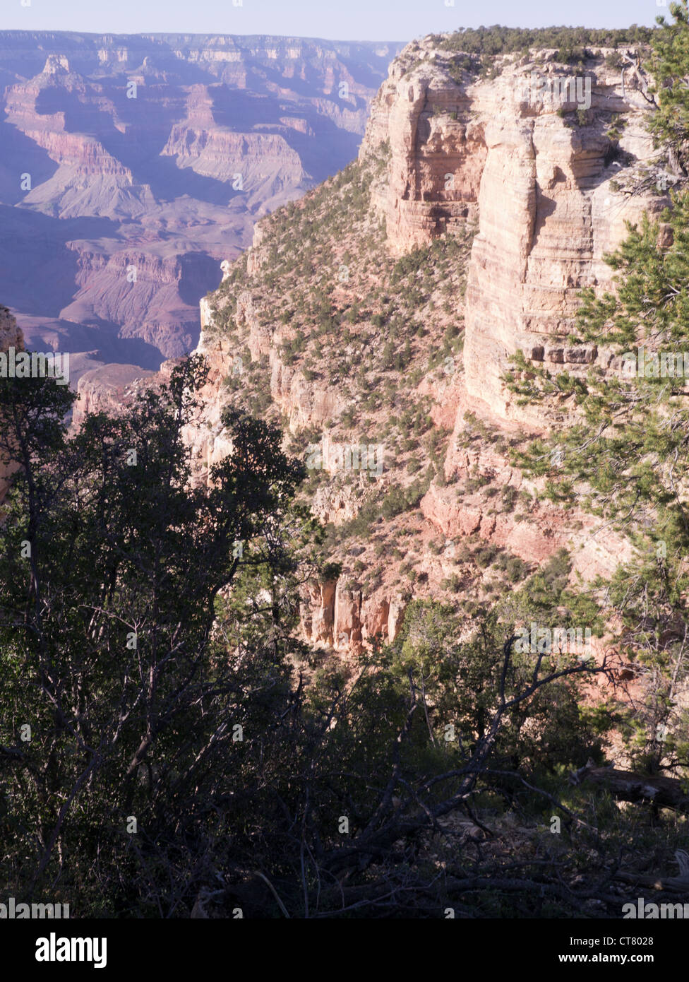 The Grand Canyon and the Colarado river in Arizona, USA Stock Photo - Alamy