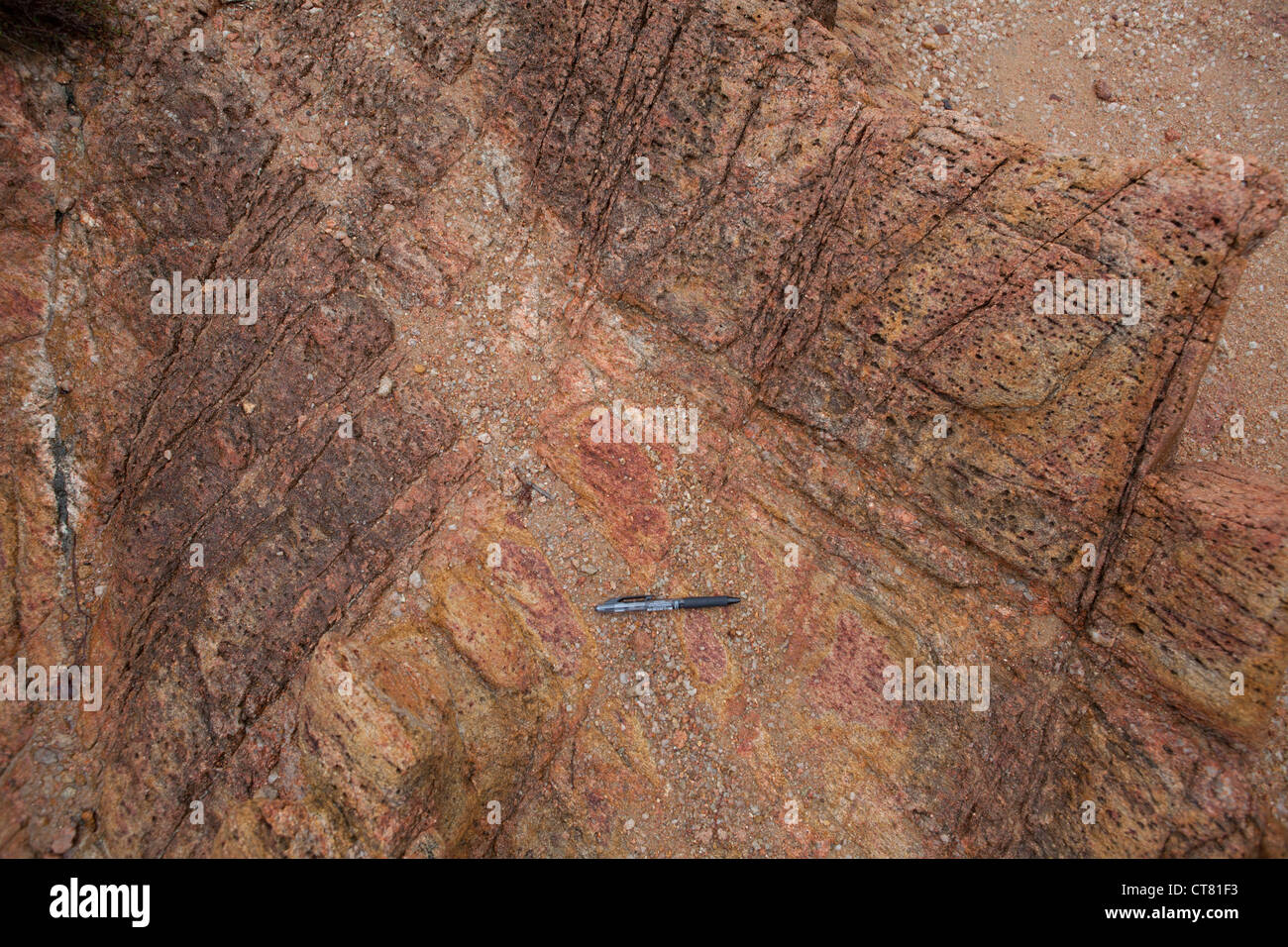 Highly deformed gneiss outcrop Stock Photo - Alamy