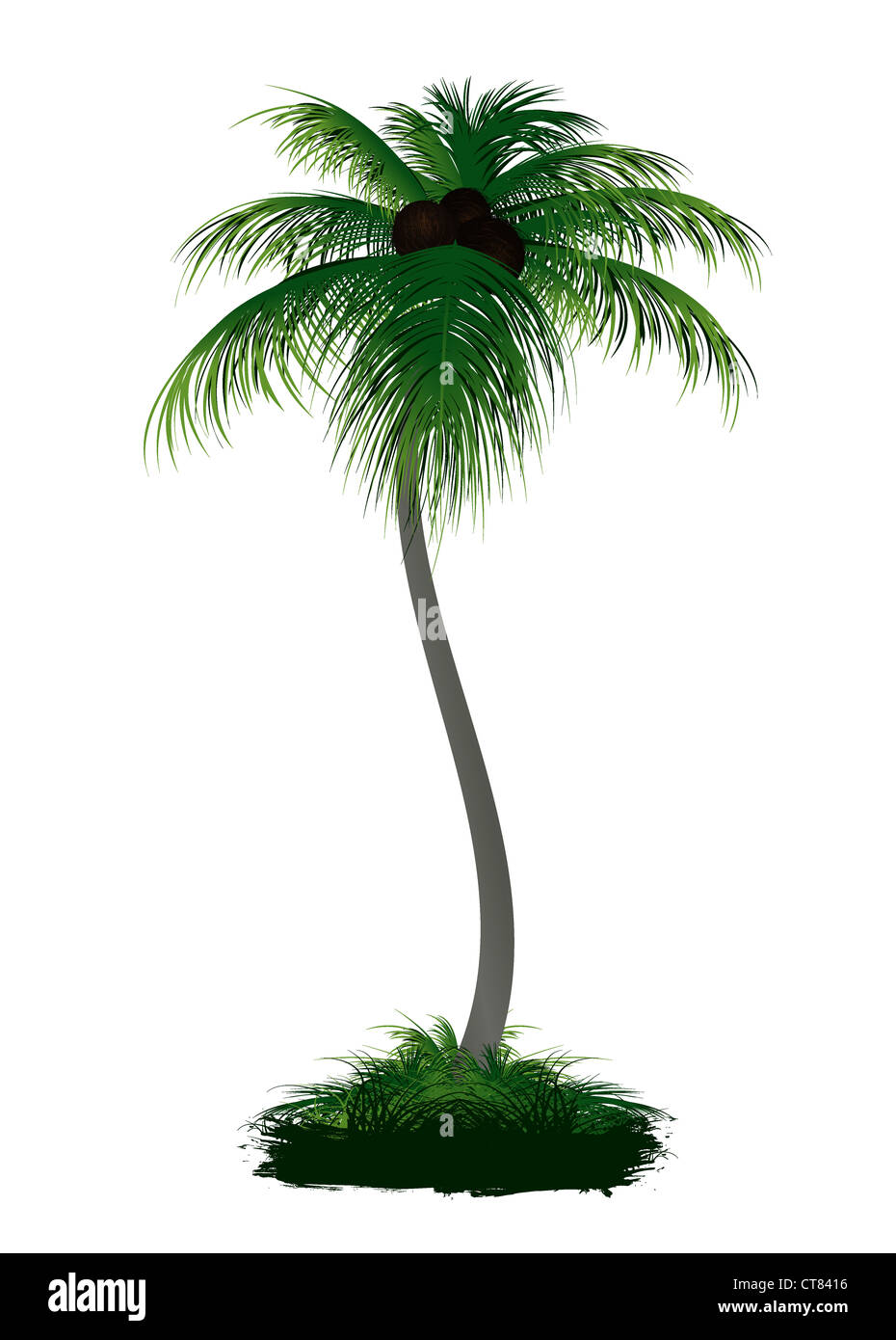 vector palm tree Stock Photo - Alamy