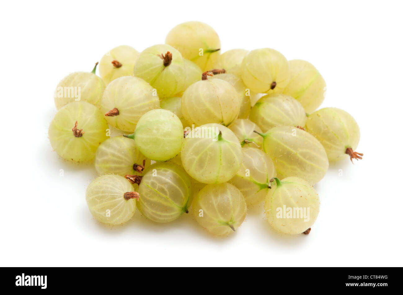 Gooseberries on a white background Stock Photo - Alamy