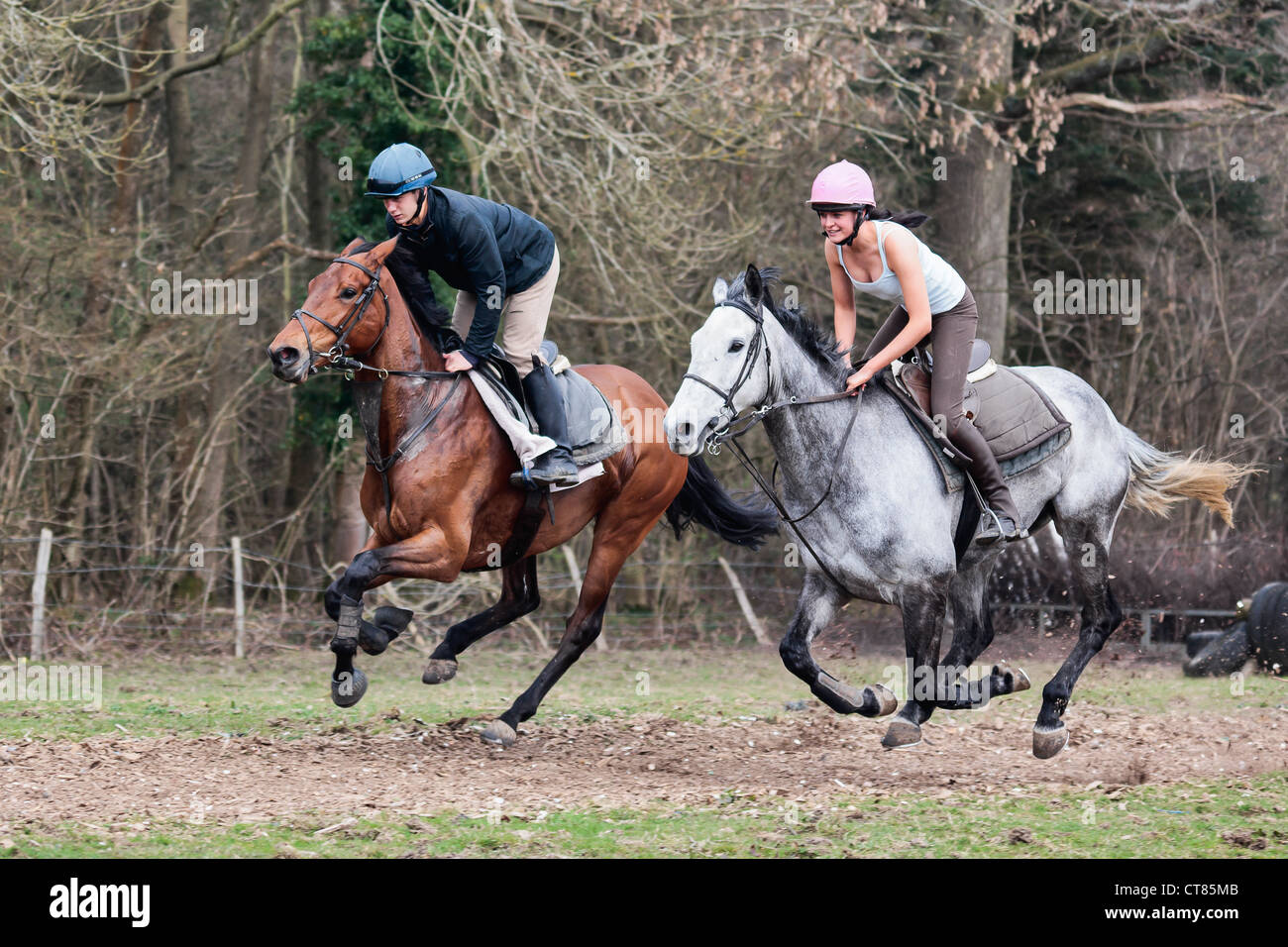 Bay thoroughbred horse running hi-res stock photography and images - Alamy
